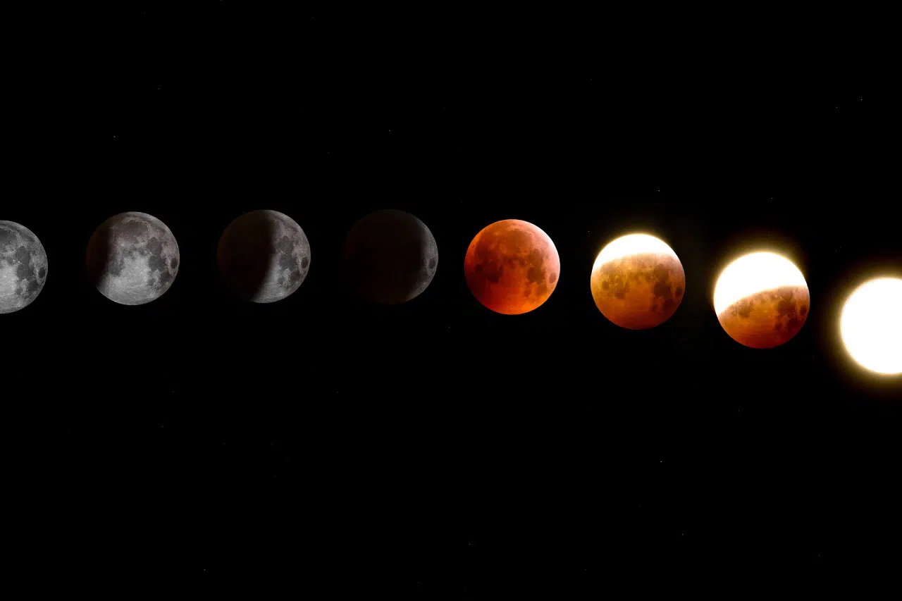 Guida Pratica alla potatura attraverso le fasi lunari